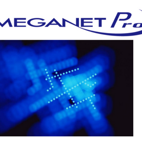MEGANET Pro - B2B-Service
